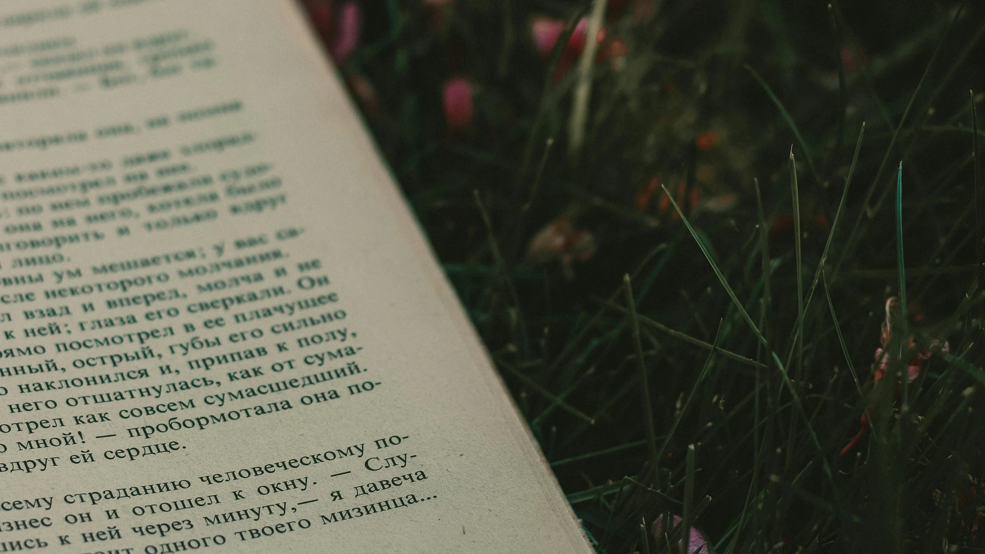 Your Guide to Writing a Letter to a Friend